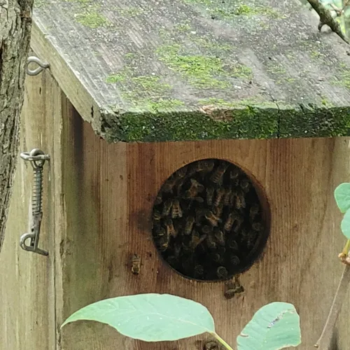 Best Hikes and Trails in Addicks Reservoir | AllTrails