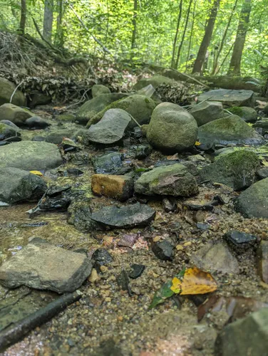 Best Hikes and Trails in Knight Brown Nature Preserve | AllTrails