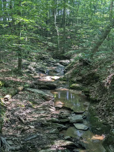 Best Hikes and Trails in Knight Brown Nature Preserve | AllTrails