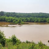 Bridge Loop Trail and Lake Loop Trail, Georgia - 840 Reviews, Map ...