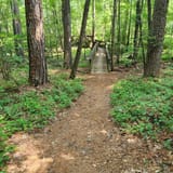 Bridge Loop Trail and Lake Loop Trail, Georgia - 840 Reviews, Map ...