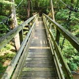 Bridge Loop Trail and Lake Loop Trail, Georgia - 840 Reviews, Map ...