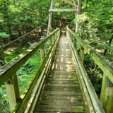 Bridge Loop Trail and Lake Loop Trail, Georgia - 840 Reviews, Map ...