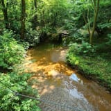 Bridge Loop Trail and Lake Loop Trail, Georgia - 840 Reviews, Map ...