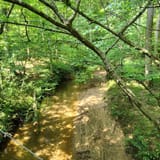 Bridge Loop Trail and Lake Loop Trail, Georgia - 840 Reviews, Map ...