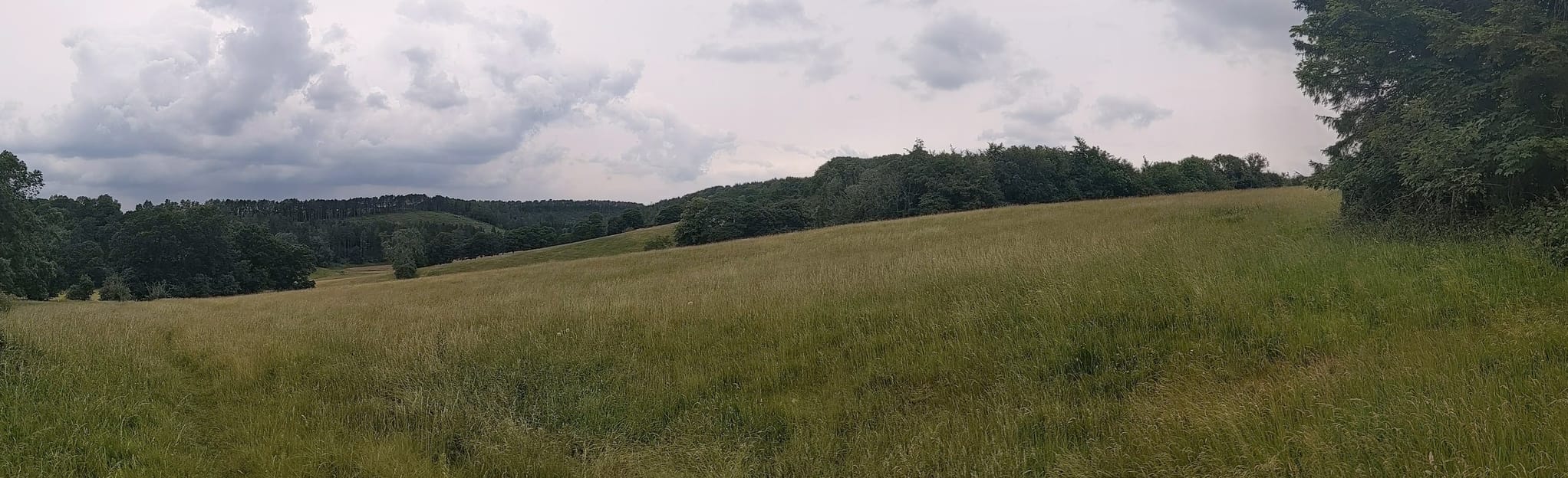 Colesbourne and Withington Woods Circular: 17 Reviews, Map ...