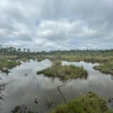 Boardman Pond Observation Platform Trail, Florida - 74 Reviews, Map ...