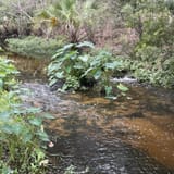 Boardman Pond Observation Platform Trail, Florida - 74 Reviews, Map ...