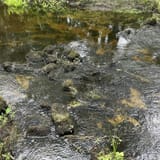 Boardman Pond Observation Platform Trail, Florida - 74 Reviews, Map ...