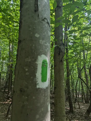 Best Hikes and Trails in Knight Brown Nature Preserve | AllTrails