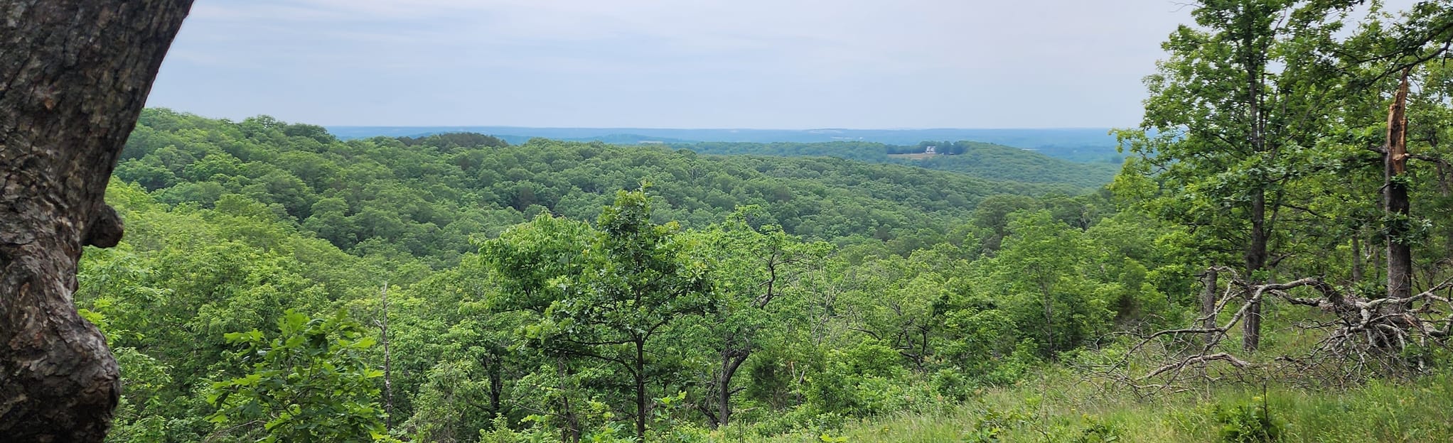 Spring Creek Gap Glade Trail, Missouri - 177 Reviews, Map | AllTrails