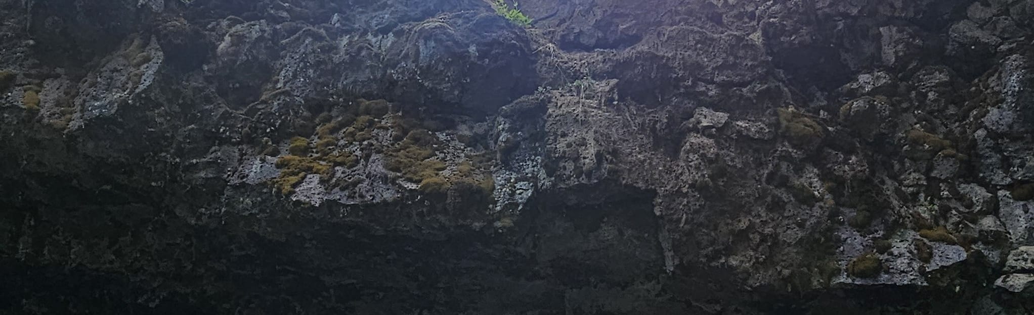 Natural Bridges, Washington - 36 Reviews, Map | AllTrails