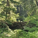 Natural Bridges, Washington - 43 Reviews, Map | AllTrails