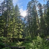 Natural Bridges, Washington - 43 Reviews, Map | AllTrails