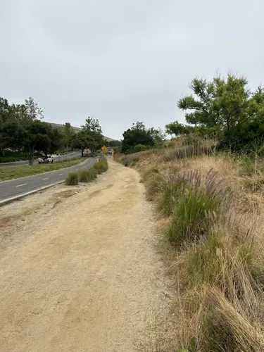 Best Hikes and Trails in Quail Hill Community Park | AllTrails