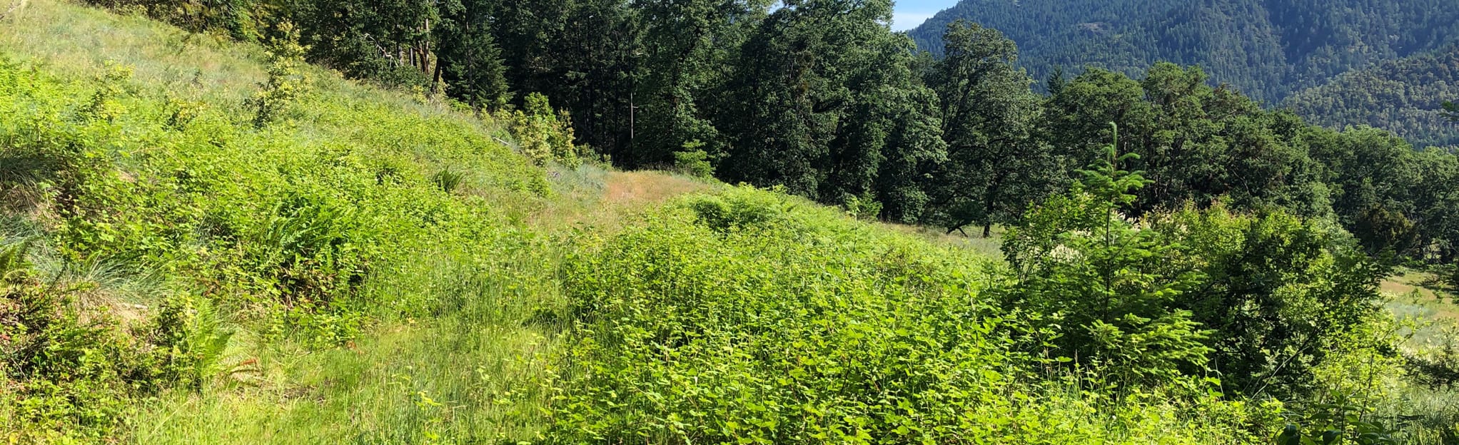 Beaver Ridge and Prairie Trails, California - 15 Reviews, Map | AllTrails