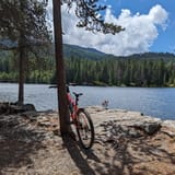 Cheakamus River Trail: 381 Fotos - Colúmbia Britânica, Canadá | AllTrails