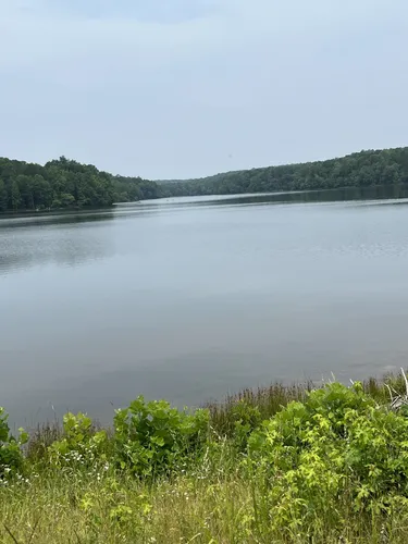 2023 Best Wild Flowers Trails in Pauline | AllTrails