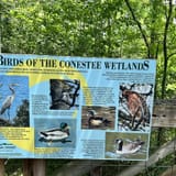 Lake Conestee Nature Park Loop, South Carolina - 1,214 Reviews, Map ...