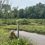 Lake Conestee Nature Park Loop, South Carolina - 1,214 Reviews, Map ...