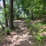 Norrie Point Trail, New York - 754 Reviews, Map | AllTrails