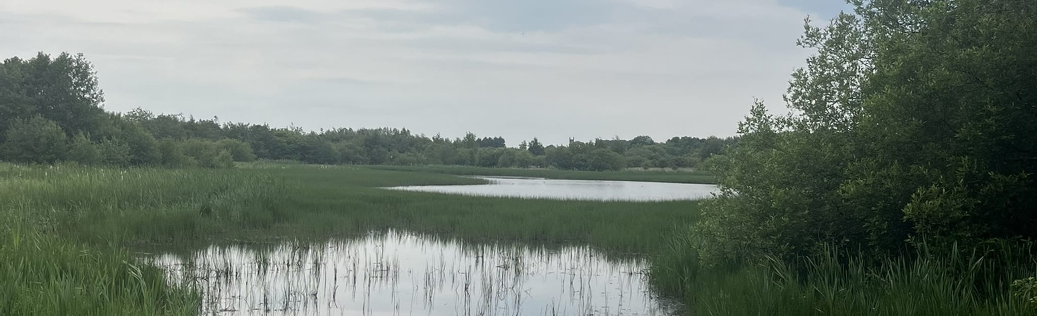 Perchy Pond Circular: 4 Reviews, Map - North Lanarkshire, Scotland ...