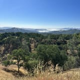 Kelly Lake Loop: Jim Donnelly and Grizzly Gulch Trails, California - 78 ...