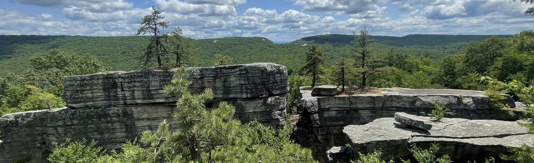 AllTrails | Lost City Escarpment Loop: 362 Reviews, Map - New York