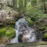 Lyons Dam, California - 542 Reviews, Map | AllTrails