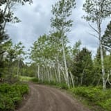 Packsaddle Lake, Idaho - 231 Reviews, Map | AllTrails