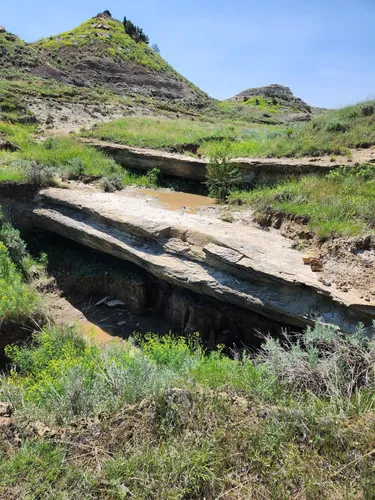 10 Best Off Road Driving Trails in Montana | AllTrails