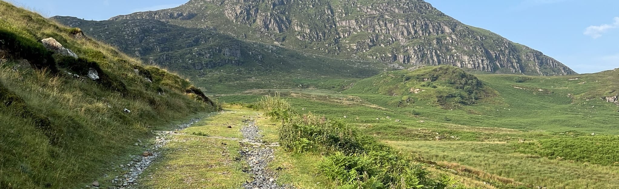 Arenig Fawr, Gwynedd, Wales - 110 Reviews, Map | AllTrails