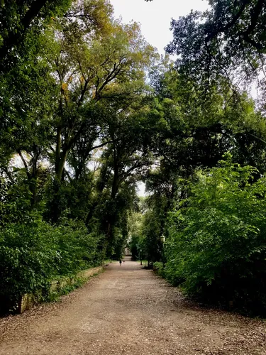 10 Best Trail Running Trails in Rome | AllTrails