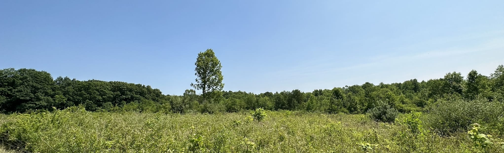 Adams Run Trail Loop: 144 Reviews, Map - Ohio | AllTrails