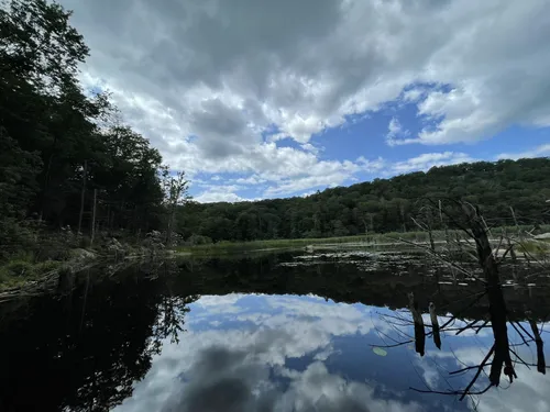 Best Camping Trails in Kent Cliffs | AllTrails