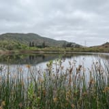 Barbara's Lake Loop Trail, California - 895 Reviews, Map | AllTrails