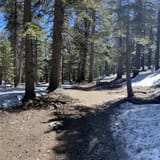 Round Valley Trail to Wellman Divide, California - 449 Reviews, Map ...