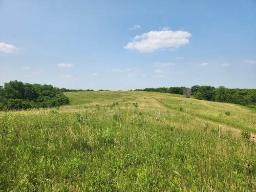 Best Hikes and Trails in Mount Hope | AllTrails