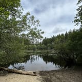 Tradition Lake Loop Trail, Washington - 1,459 Reviews, Map | AllTrails
