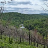 Cave Spring Loop Trail, Missouri - 366 Reviews, Map | AllTrails