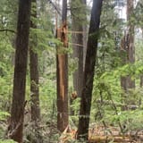 Upper Priest Lake Navigation Trail, Idaho - 251 Reviews, Map | AllTrails