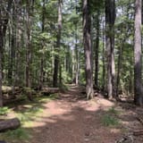Upper Priest Lake Navigation Trail, Idaho - 251 Reviews, Map | AllTrails