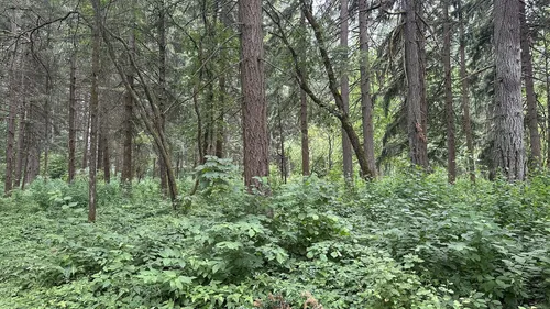 Best Hikes and Trails in Orchards Park | AllTrails