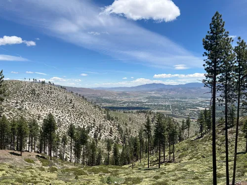 10 Best Off Road Driving Trails in Humboldt-Toiyabe National Forest ...