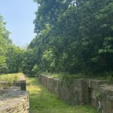 Matildaville Trail, Virginia - 209 Reviews, Map | AllTrails