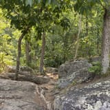 Matildaville Trail, Virginia - 209 Reviews, Map | AllTrails