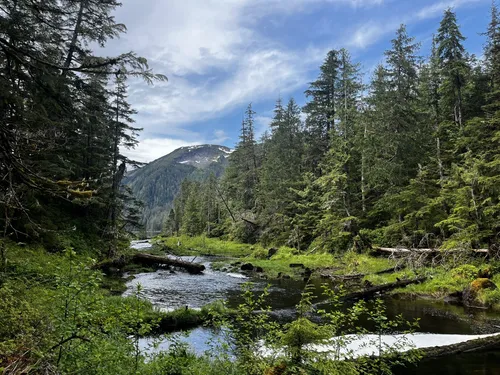 10 Best Trails and Hikes in Ketchikan | AllTrails