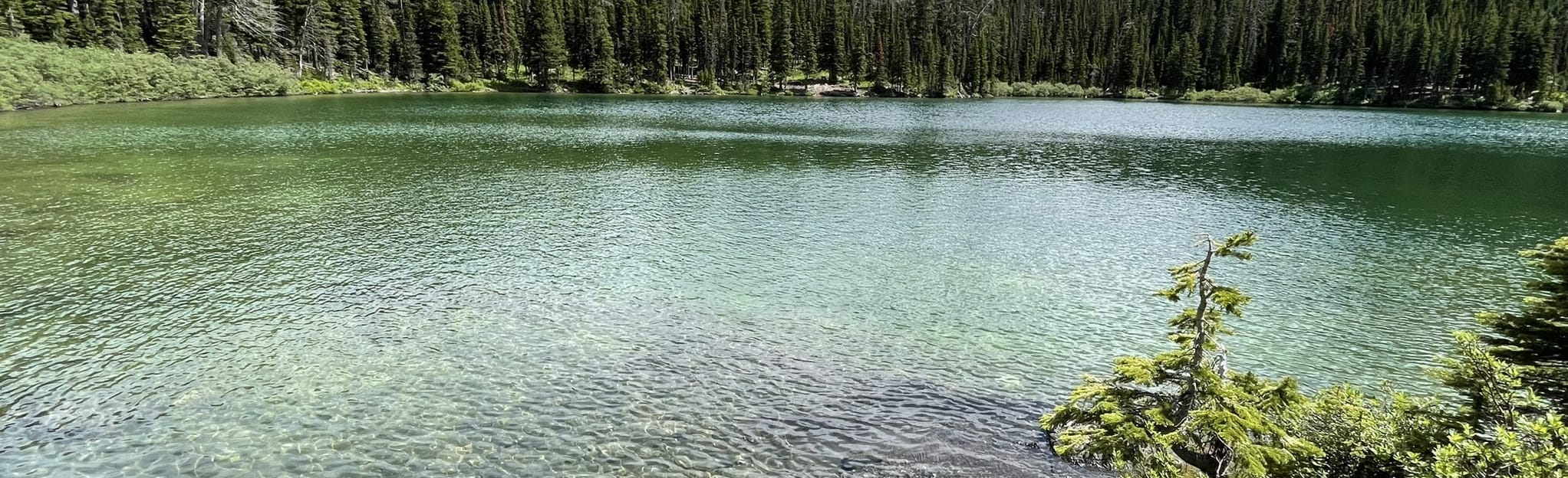 Window Mountain Lake: 350 foto - Alberta, Canada | AllTrails