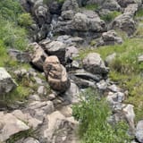 Mesa Top, Tilting Mesa, North Table Loop Trails, Colorado - 811 Reviews ...