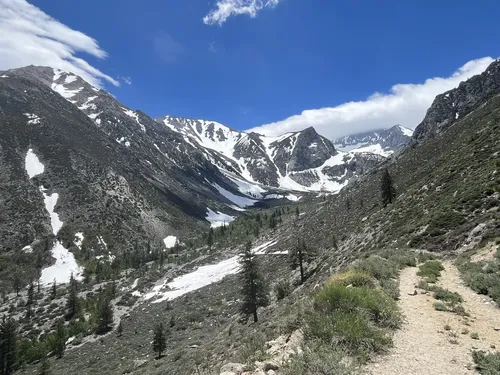 10 Best Trails and Hikes in Big Pine | AllTrails